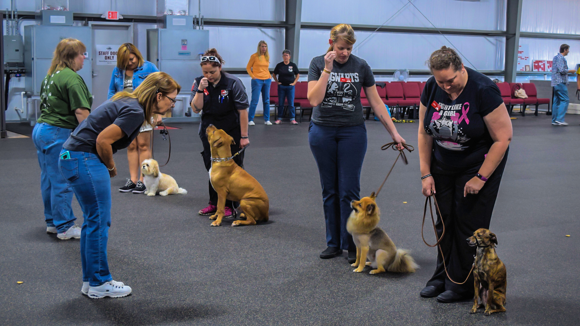 K9 Acquisition - Service Dogs for Veterans with PTSD, TBI, MST K9 ...