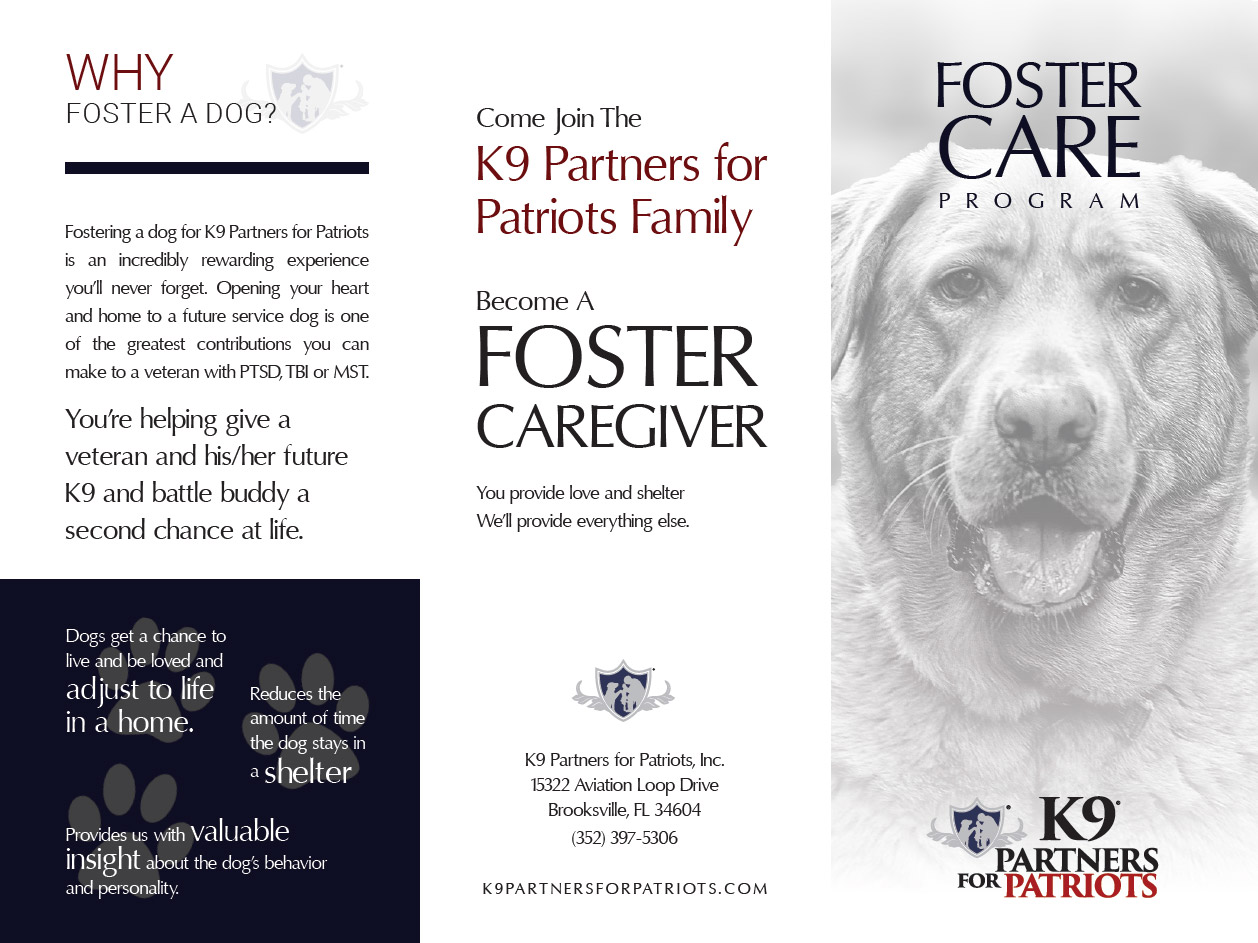 Press Room - Service Dogs for Veterans with PTSD, TBI, MST K9 Partners ...