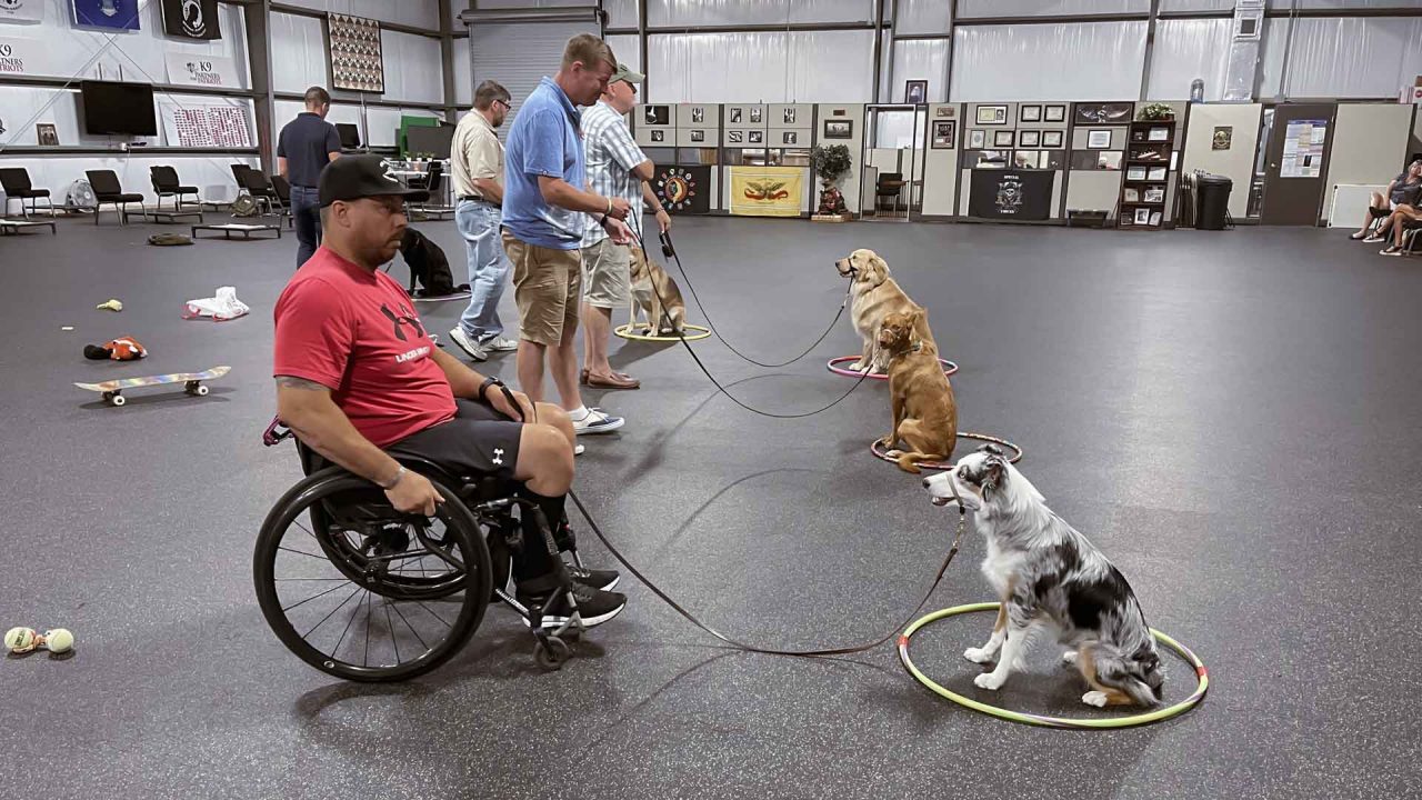 Service Dog Training for Veterans - K9 Partners for Patriots
