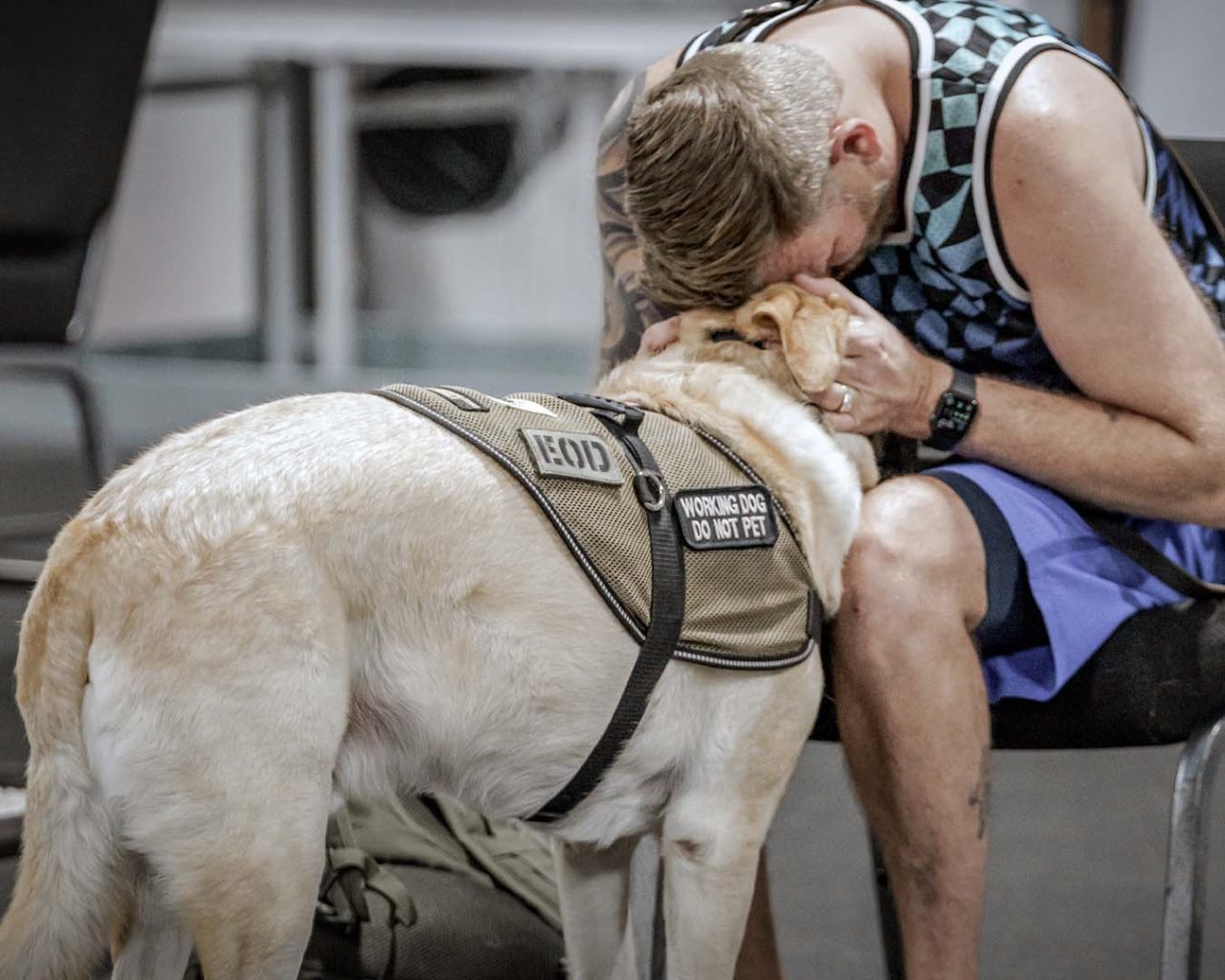Service Dogs for Veterans - K9 Partners for Patriots