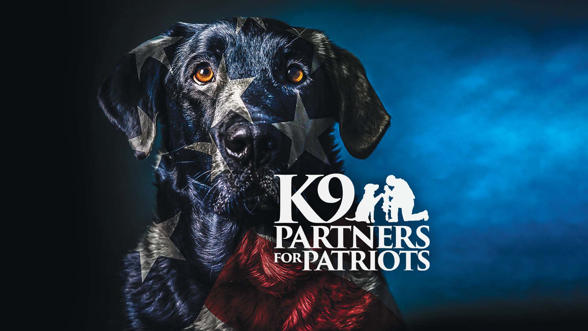 Service Dogs for Veterans - K9 Partners for Patriots