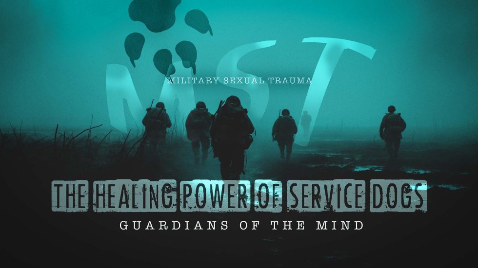 Understanding Military Sexual Trauma (MST) - K9P4P