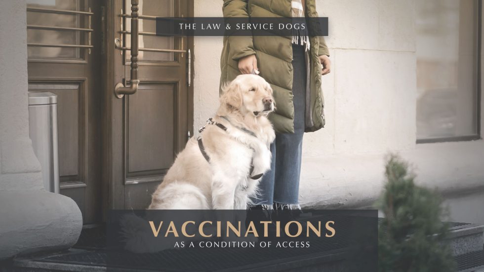 Service Animal Vaccinations and ADA Access - What You Need to Know