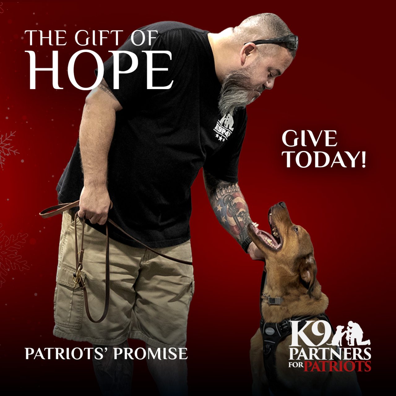 Service Dogs for Veterans - K9 Partners for Patriots