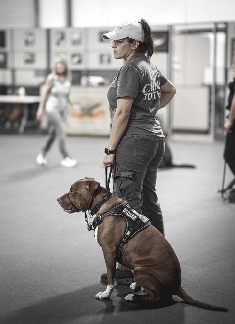 Service Dog Training for Veterans - K9 Partners for Patriots