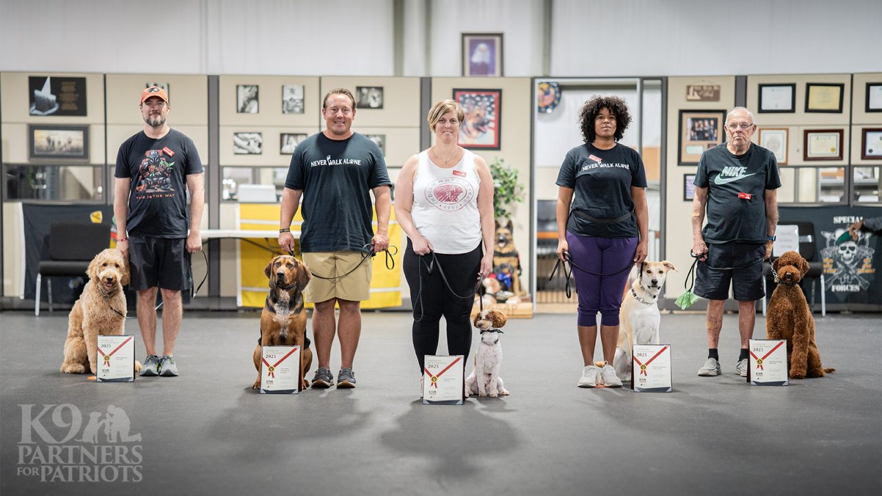 Service Dog Training for Veterans - K9 Partners for Patriots